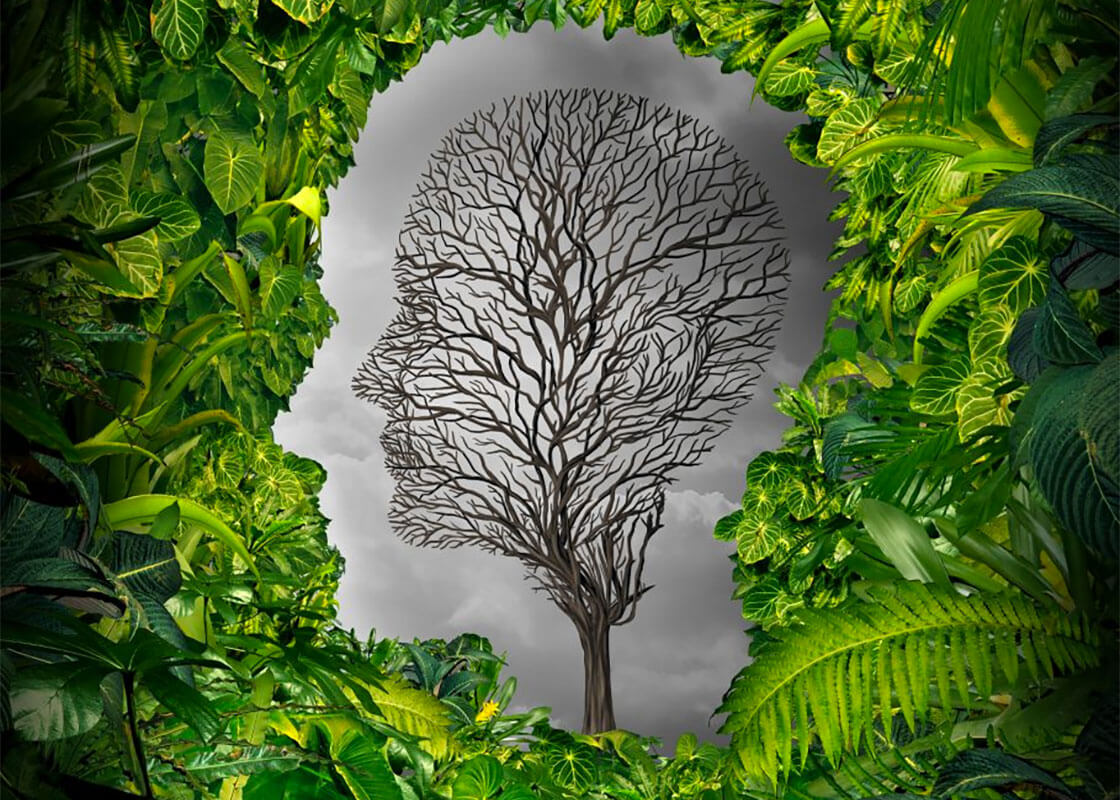 How are you coping with climate change? | UKCP
