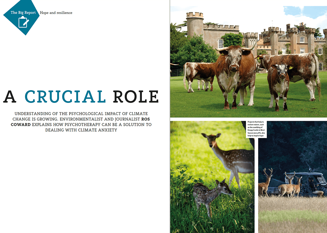 The Big Report – A crucial role | UKCP